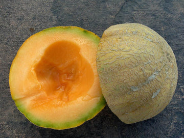 Delicious 51 PMR Melon Seeds – Grow It All